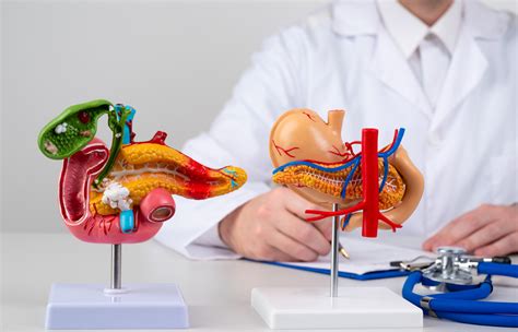 Pancreatitis Apollo Hospitals Blog
