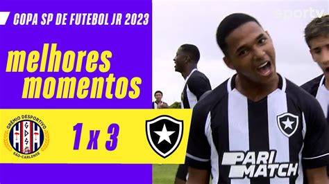 VÍdeo Gols E Melhores Momentos Da Vitória Do Botafogo Sobre O Grêmio