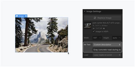 Lightbox Webflow University