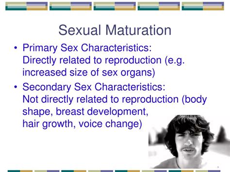 PPT Chapter PowerPoint Presentation Free Download ID