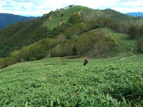 鉢伏山・前二ツ山・二ッ山 チャーリーさんの鉢伏山・高ボッチ山・三峰山の活動データ Yamap ヤマップ