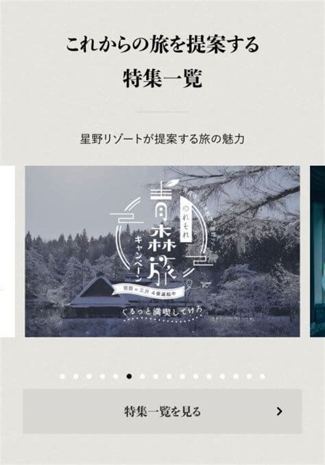 【総数19件】高級感・きれいめのサイト一覧から探す テイスト Webデザインの参考に、ui Library