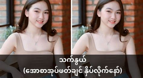 သက်နွယ် ဖောင်းဒိုင်းစာအုပ် အပြာစာအုပ် အောစာအုပ်များ