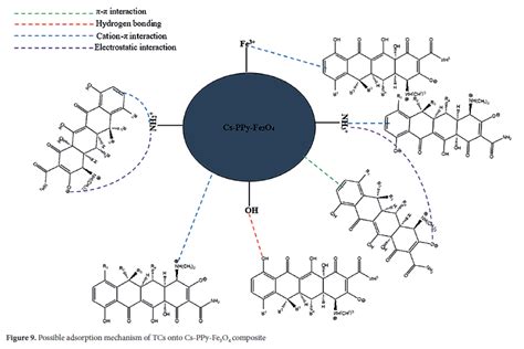 Synthesis And Characterization Of Magnetic Chitosan Polypyrrole