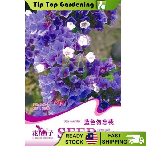 【expired】biji Benih A196 Sea Lavender Flower Goddess Vegetable Flower