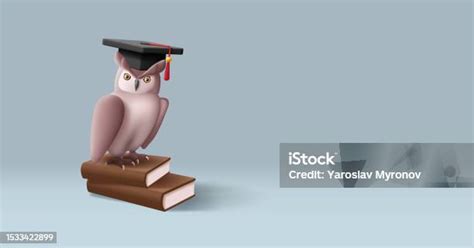 3d 올빼미 그림은 책 갈색 교육 개념에 앉아 졸업 모자를 쓴다 갈색에 대한 스톡 벡터 아트 및 기타 이미지 갈색 개념 개념과 주제 Istock
