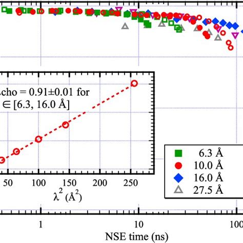 measured nse signal at different incoming neutron wavelengths for a