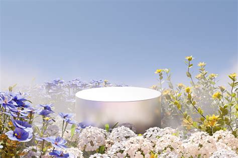3d 렌더링 플랫폼 및 자연 연단 배경은 아침에 안개가 낀 다채로운 꽃밭에 미스트가 있는 제품 스탠드 디스플레이 화장품 미용