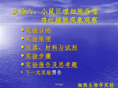 小鼠巨噬细胞吞噬鸡红细胞细胞生物学实验 Word文档在线阅读与下载 无忧文档