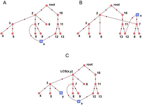 Semantic Measures For Words In Wordnet 31 Fragment Composed Of Meaning