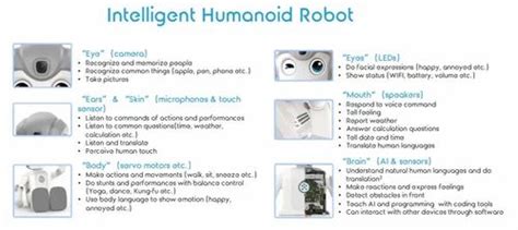 Humanoid Robot With Ai For Education At ₹ 97000piece In Chennai Id