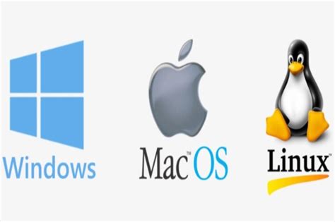 Guida Ai Server Definizione Significato E Utilità Consulente Seo