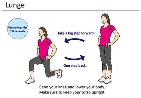Shoulder Scapular Plane Elevation Physio Visuals Illustrated