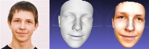 Face Reconstruction · Issue 228 · Cleardusk3ddfa · Github