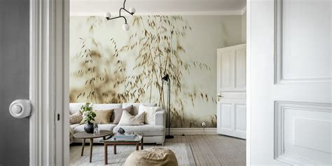 Grass Long Grasses At Sunset Happywall