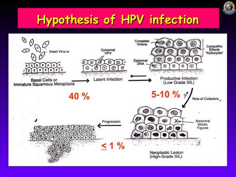 Abnormal Pap Smear ศิริราช Ppt Ppt