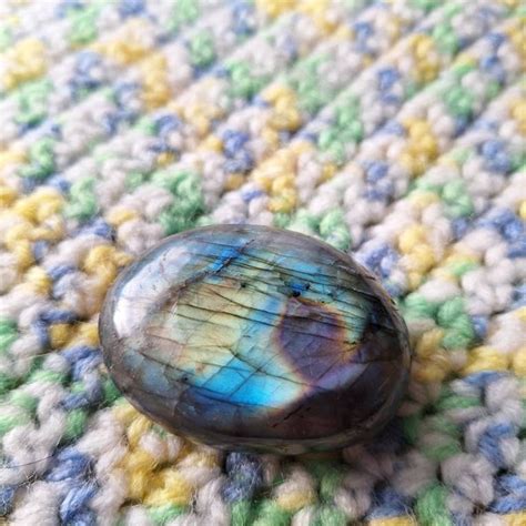 Ammonite Fossil Fossilized Ammonite Ammonite Fossil Large Natural
