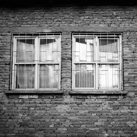 How To Fix Microsoft Store Check Your Connection” Error And Download Apps Seamlessly