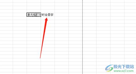 Excel单元格打字时会吞字怎么办？ Excel将超出单元格并隐藏起来的文字显示出来的方法 极光下载站