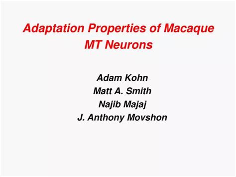Ppt Adaptation Properties Of Macaque Mt Neurons Powerpoint Presentation Id 6776540
