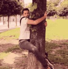 Tree Gif GIFs Tenor