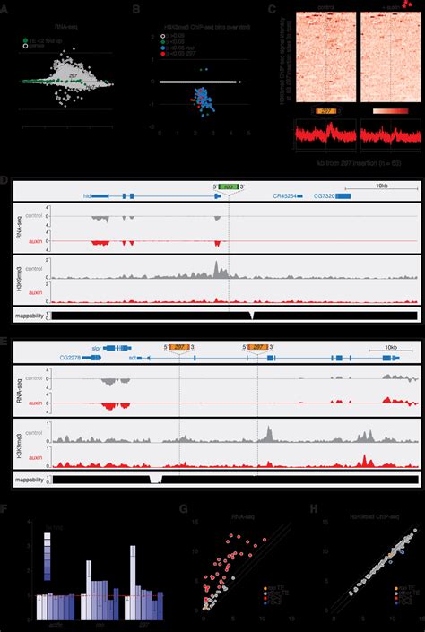 Figure Supplement Piwi Depletion In Embryos Leads To Epigenetic And