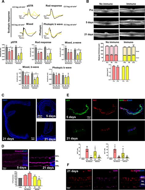 Systemic Immunosuppression In Allotransplanted Animals Further Impairs