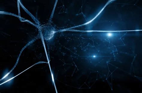 Download Dark Color Neuron Cell Wallpaper