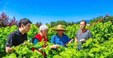 鲁山：科技特派员送“技”下乡 助力蚕业产业发展腾讯新闻