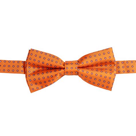 Leptir Mašna Narandžasta