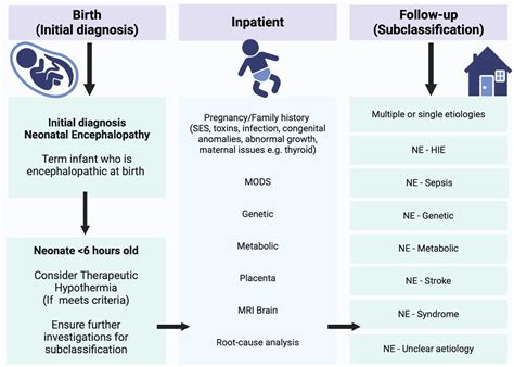 Causes And Terminology In Neonatal Encephalopathy Clinics In Perinatology