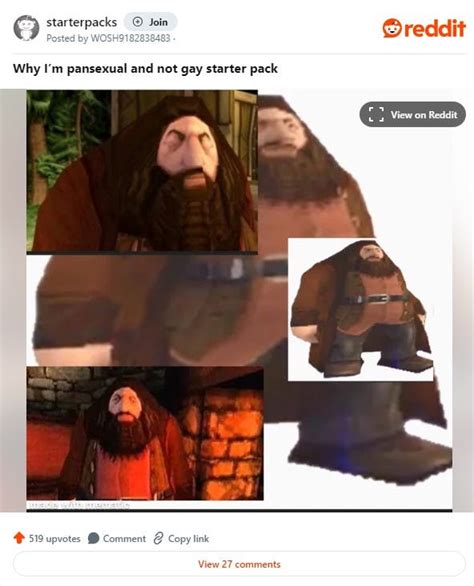 What Is The Ps1 Hagrid Meme And Where Is It From