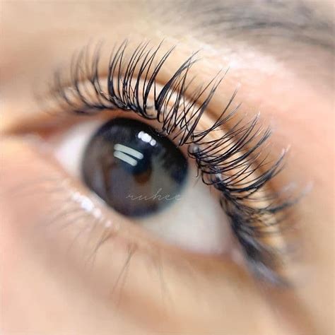 Perbedaan Lash Lift Dan Lash Filler Kamu Wajib Tahu