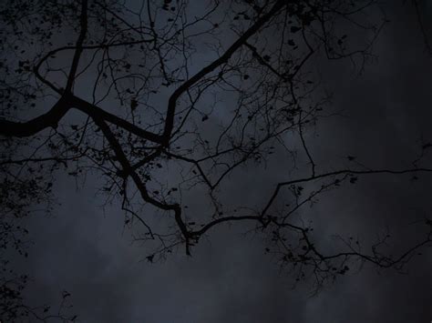 Minuit Dans Le Jardin Le Ciel Est Par Dessus Le Toit