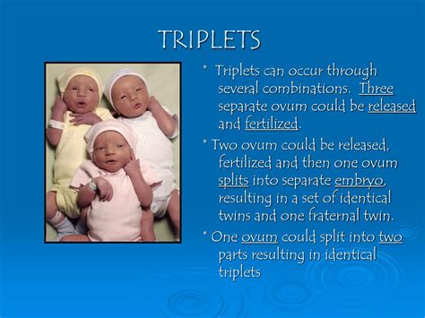 Ppt Genetics And Heredity Powerpoint Presentation Free Download Id 1366131