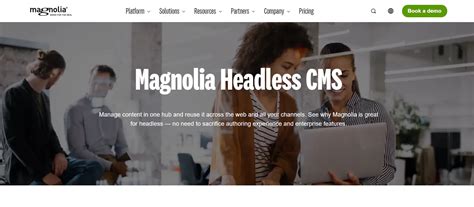 Best Headless CMS Platforms And Software To Consider In