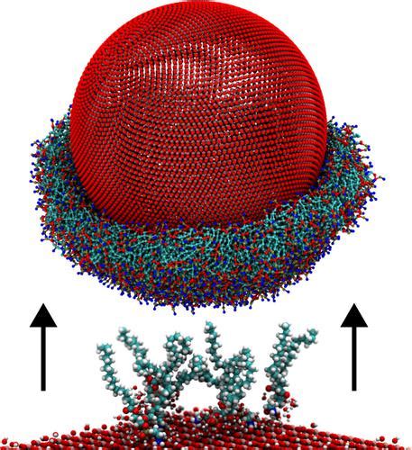 Development Of A Bottom‐up Coarse‐grained Model For Interactions Of Lipids With Tio2 {} 2