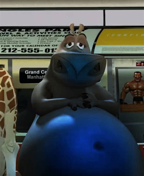 Whats Happing To Gloria Hippo Blueberry By Bluepreggodl On Deviantart