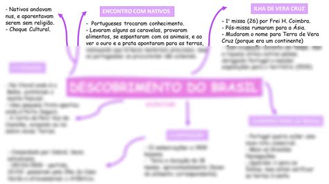 Solution Hist Ria Descobrimento Do Brasil Studypool