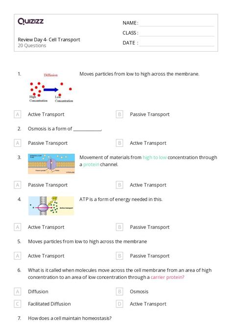 50 Membranes And Transport Worksheets For 10th Year On Quizizz Free