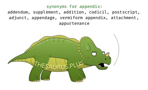 Appendix Synonyms And Appendix Antonyms Similar And Opposite Words For Appendix In Thesaurus