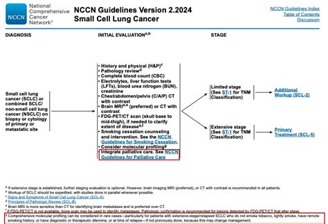 小细胞肺癌nccn指南2024v2版更新！扩大初始评估分子检测的推荐人群患者治疗基因