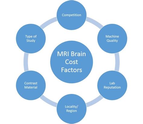 Mri Brain Purpose Precautions Risks And Cost 50 Off Offer