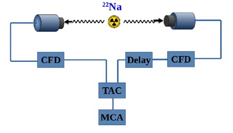 The Analogue Setup For Timing Characterization Of Labr3ce Detectors
