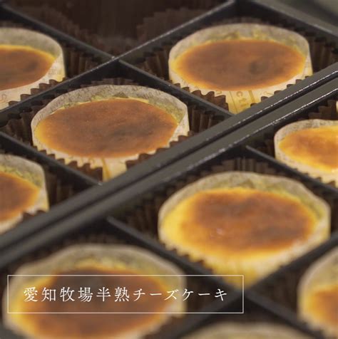 愛知牧場オンラインストア 【送料無料】愛知牧場冷凍スイーツセット（アイス12個カタラーナ2箱チーズケーキ2箱）