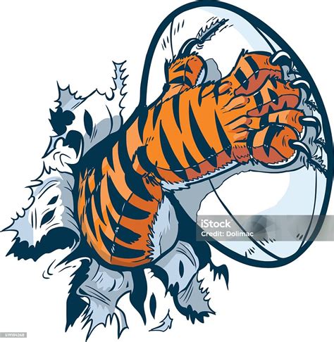 Tiger 퍼 움켜쥠 럭비공 리핑 주시나요 배경 호랑이에 대한 스톡 벡터 아트 및 기타 이미지 호랑이 갈고리 발톱 발톱
