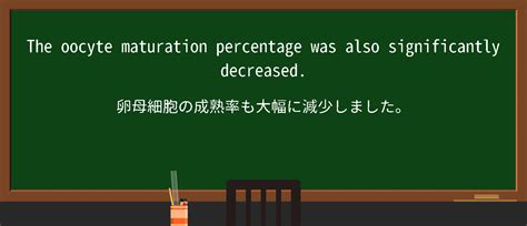 【英単語】oocyte Maturationを徹底解説！意味、使い方、例文、読み方 おもしろい英文法