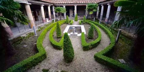 A Botanical Pompeii We Found Spectacular Plant Fossils From 30 Million Years Ago Raw Story