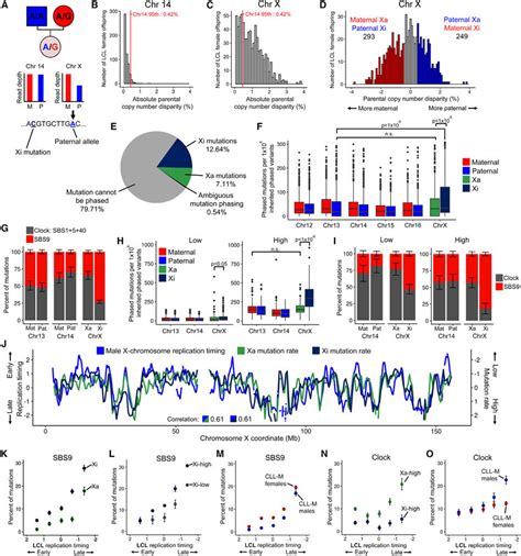 Unique Mutational Processes On The Xi Chromosome A Identification Of