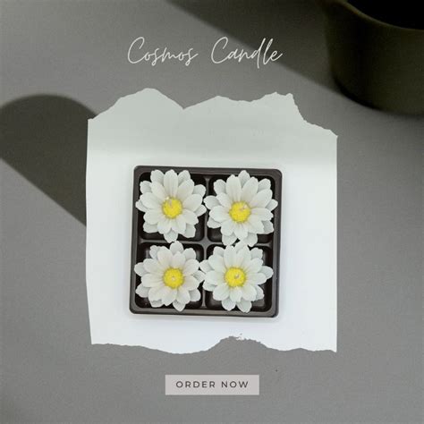 เทียนหอมดอกคอสมอส Cosmos หรือ ดอกดาวกระจาย Shopee Thailand